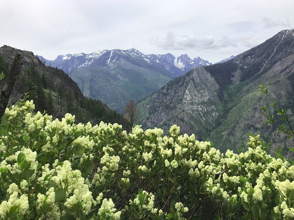 Fourth of July Creek Trail to Icicle Ridge Hike - Stan's Diary - Stan's ...